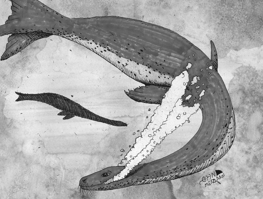 Cryptids State-by-State: Champ- Vermont