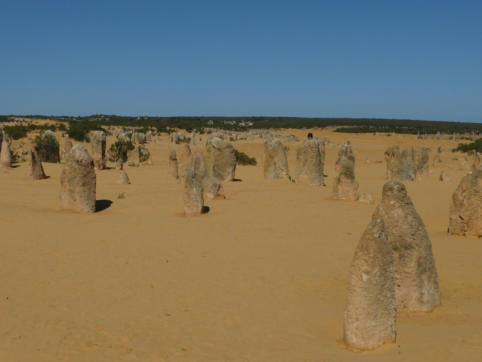 Nele & Andrew Around Oz: Sandy Cape Campsite, WA (near Jurien Bay)