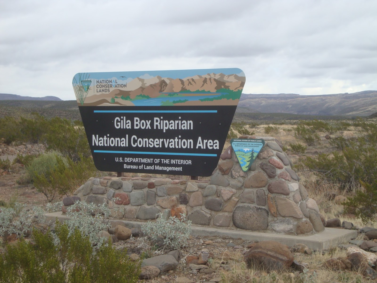 All The Good Names Were Taken: And now for something different: Gila ...