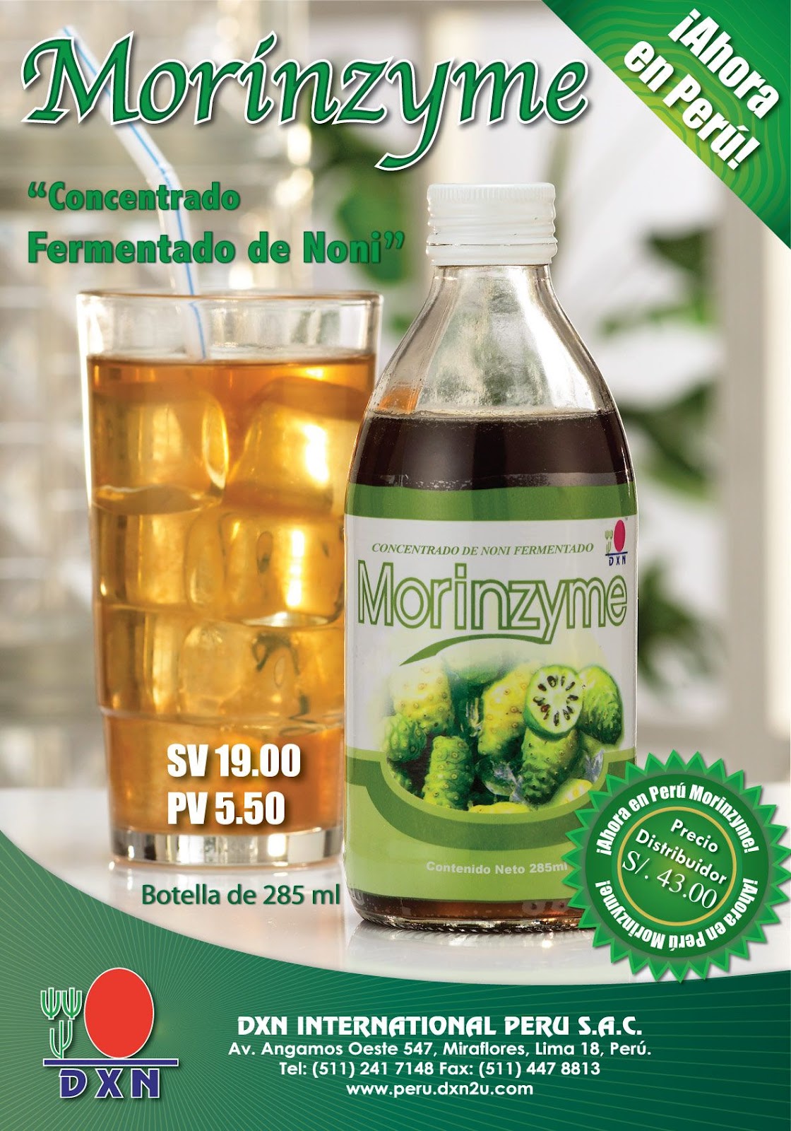 Welcome to the DXN Fans Blog: Morinzyme Promotion (DXN Peru)