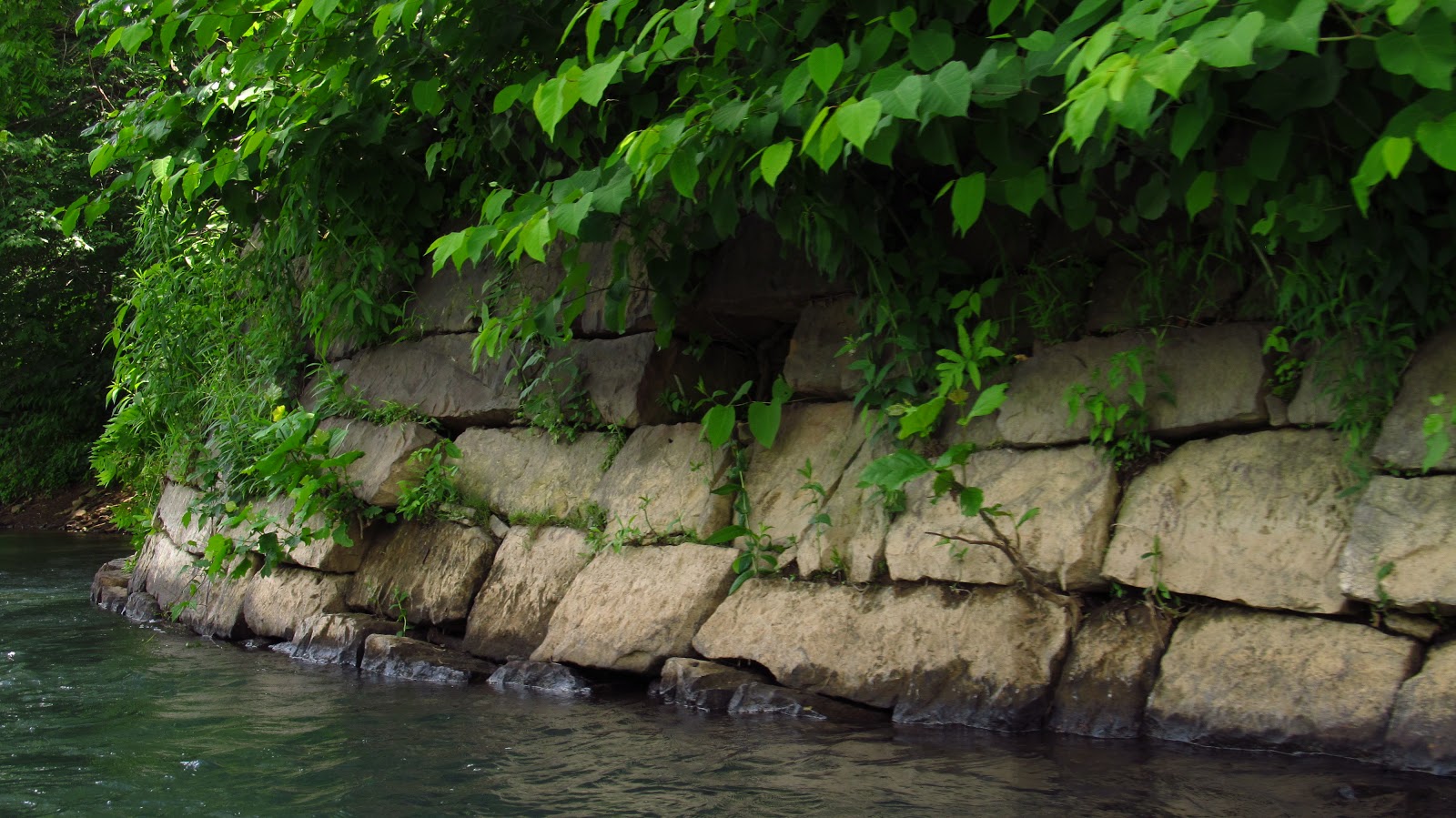 Old Industry of Southwestern Pennsylvania : A Trip Through Packsaddle Gap