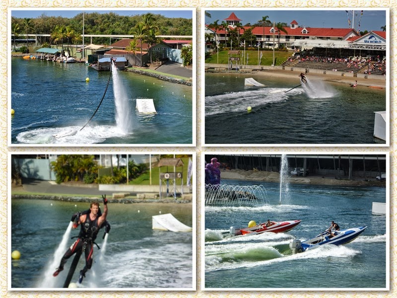 Jari Manis : Travel List: Journey to Gold Coast, QLD : Sea World Theme Park
