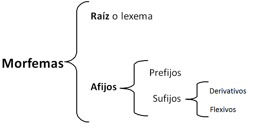 La clase del profe Pedro: Los morfemas (tema 1)