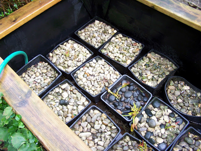 Anoxic Filtration System: 24" depth for water stability and water ...