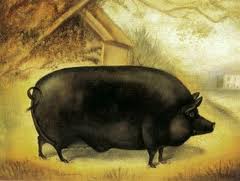 Job's Children: Six Black Hogs