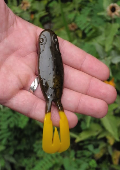 Bass Junkies Frog Pond: Venom Lures: Bully Frog Review