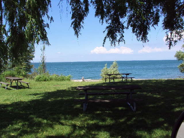 Hamilton Conservation: A hidden gem...Confederation Park