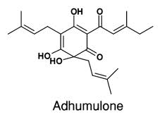 CERVESA EN CATALÀ: 06/12