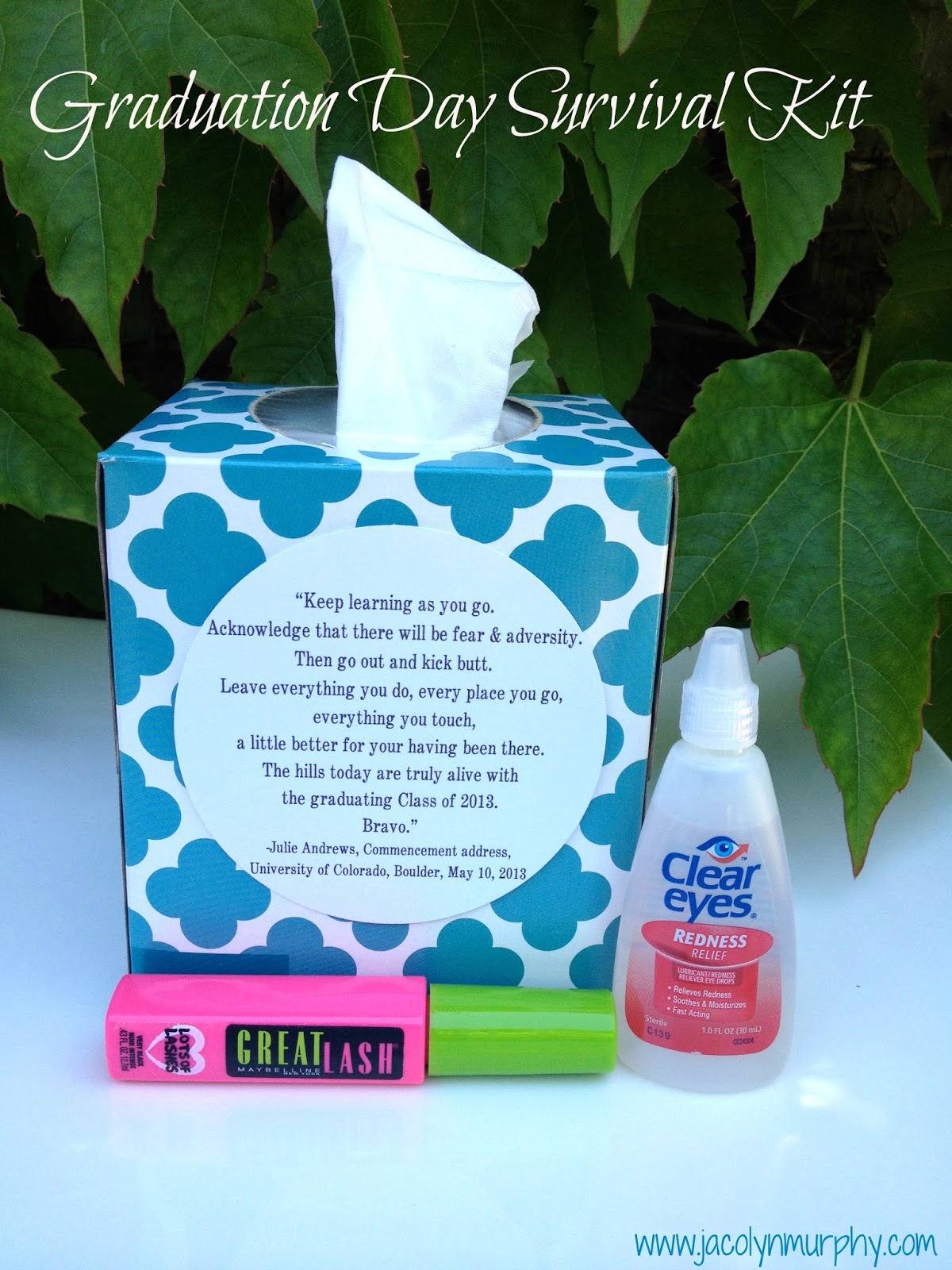 Jac o' lyn Murphy: My Graduation Survival Kit...