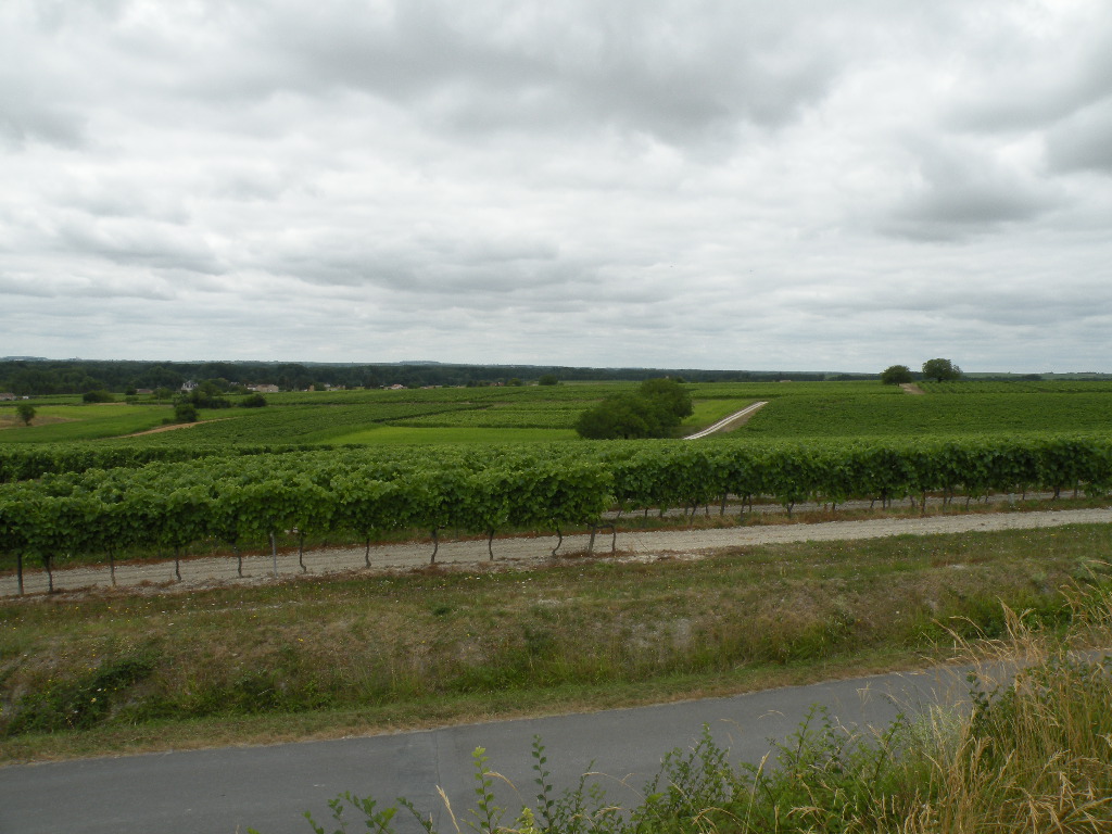 Balades dans les Charentes : Saint-Fort sur le Né
