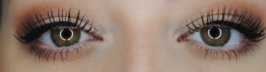 MAFIA: LIFTING RZĘS - OPIS I EFEKTY