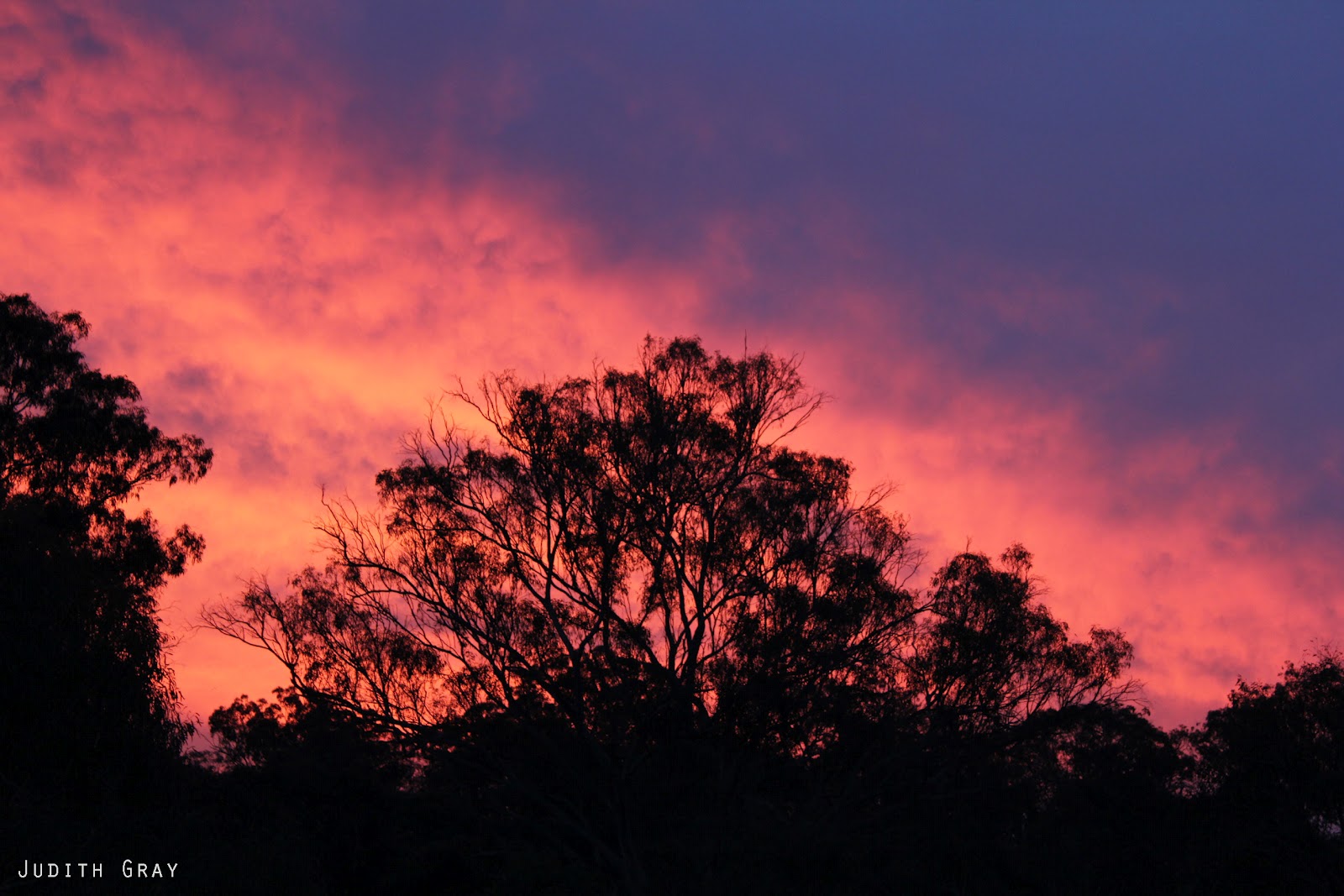 Sunset in the Australian Bush 10/09/2012