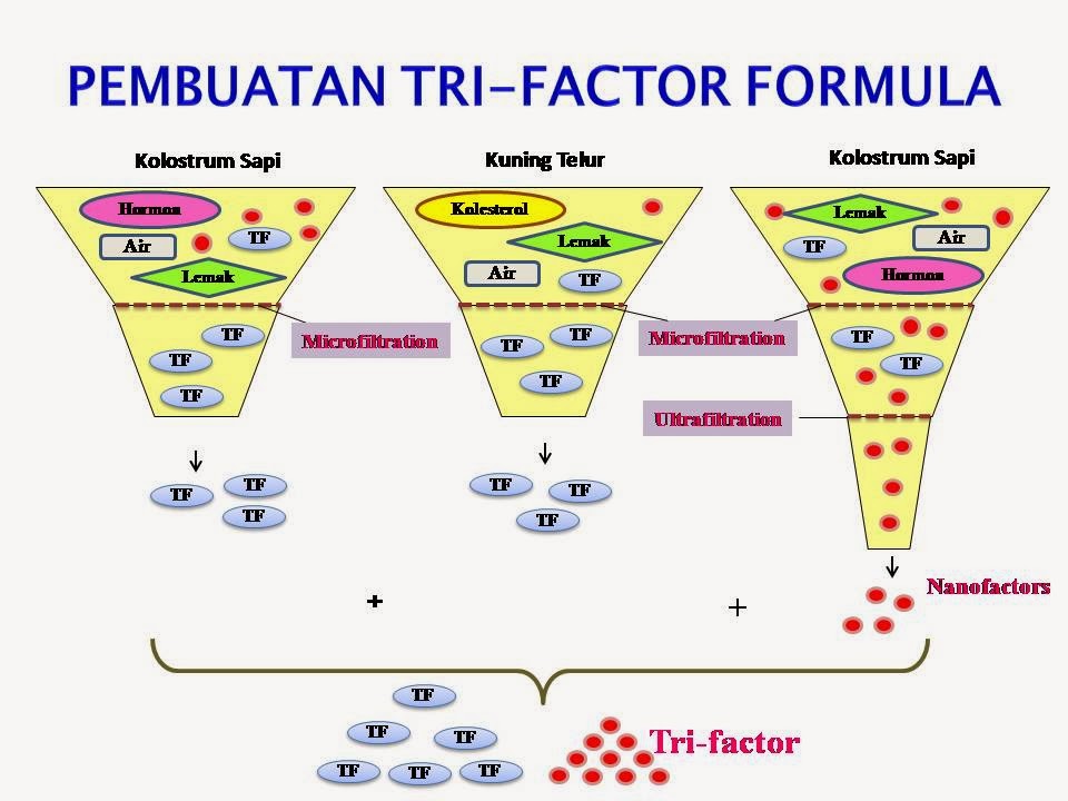 4Life Transfer Factor di ambil dari susu awal sapi dan kuning telur ...