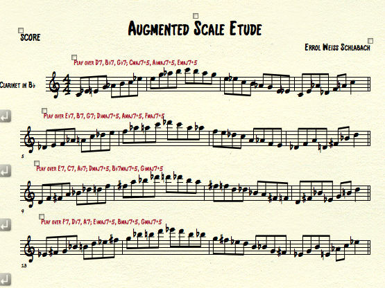 Clarinet, Saxophone, and Flute Practice Journal: Savor the beautiful ...