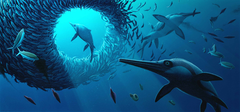 The Palaeo Post: Palaeoart: Feeding Ichthyosaurs
