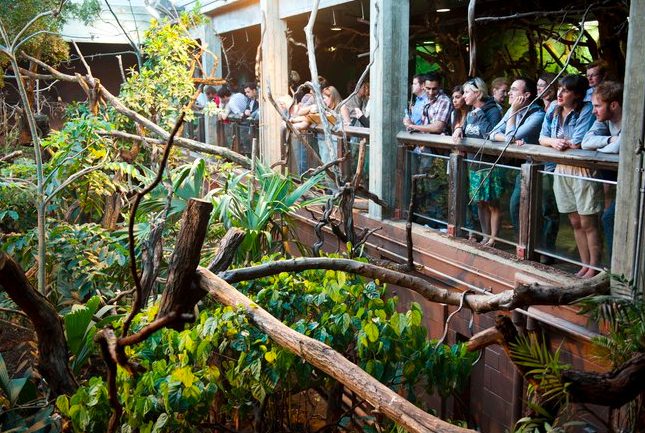 100 Great Things About London: 6. Zoo Lates: See the animals in a whole ...