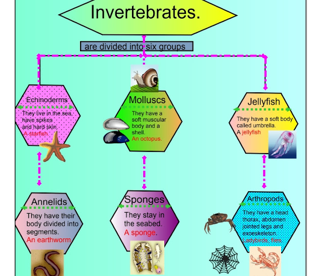 We love learning!!!.: Natural Science . Mind map of kingdoms and ...