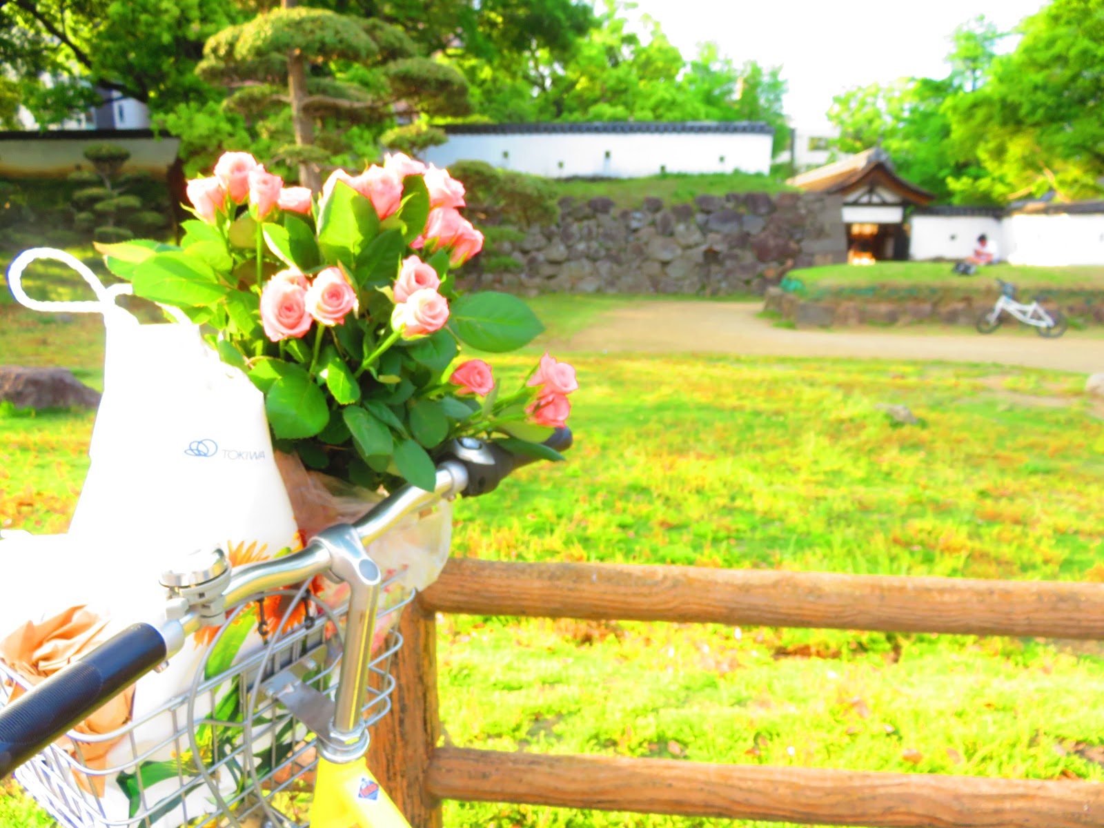 Challah and Cherry Blossoms: Shabbat flowers, Shabbat Shalom!
