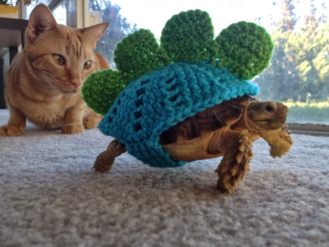 Funny Animals Of The Week 20 September 2013 30 Pics Amazing Creatures funny-animals-of-the-week-20-september-2013-30-pics-amazing-creatures