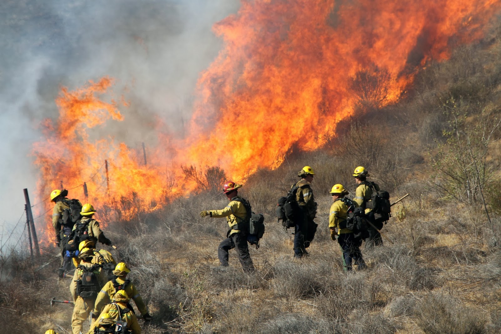 Zimmerman Media LLC: Wildfire: Hasley Canyon and Burlwood, Los Angeles ...