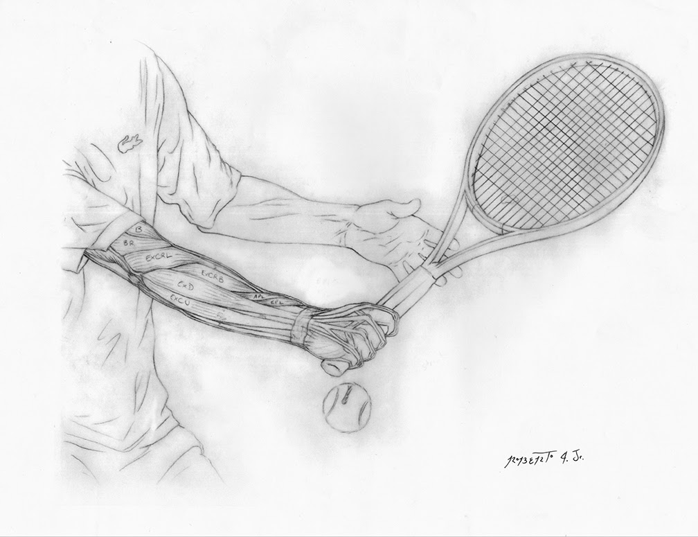 Human Anatomy for the Artist: More Advanced Anatomy Work: Roberto Almanza