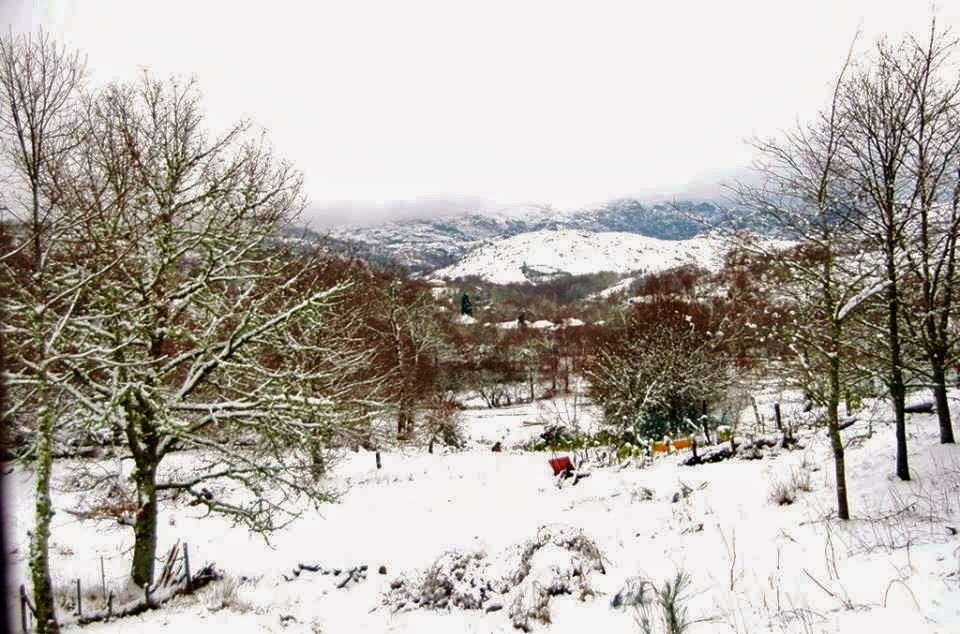Portugal - Roteiros Alternativos: Manto de Neve em Castro Laboreiro ...