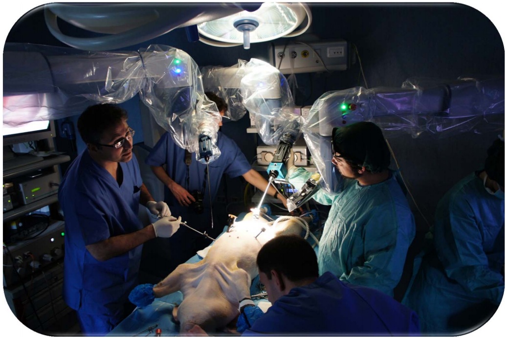 ALF-X Telelap getting commercial