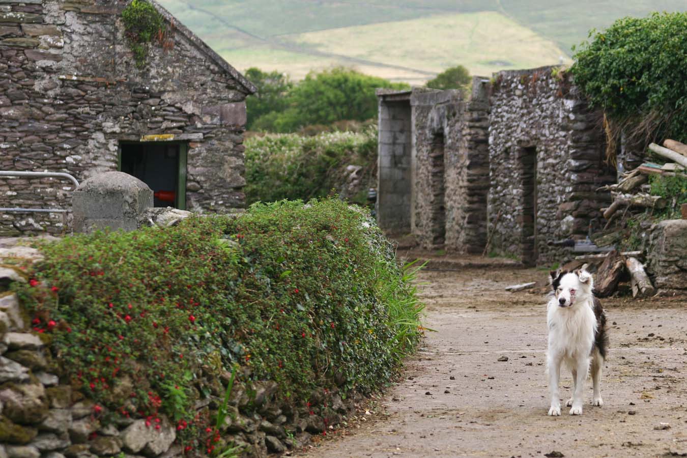 MarkKimballMoulton.com: A Sampling of Mark's Photography