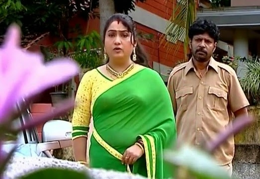 Yamuna in Green Saree Malayalam Serial Actress Hot Photos | MALLU ...