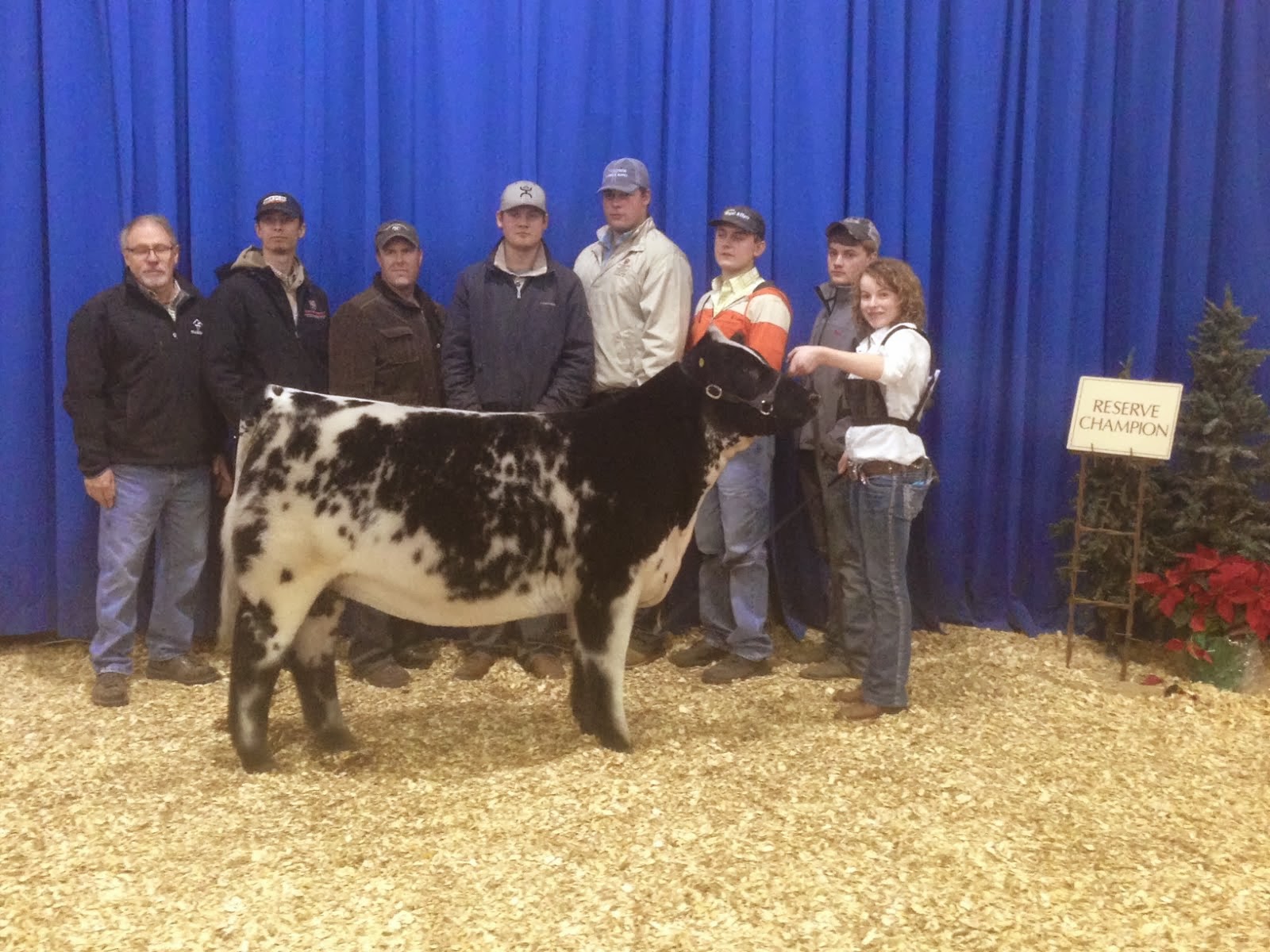 DIAMOND G CATTLE CO.: KS Beef Expo - MOP Win!!