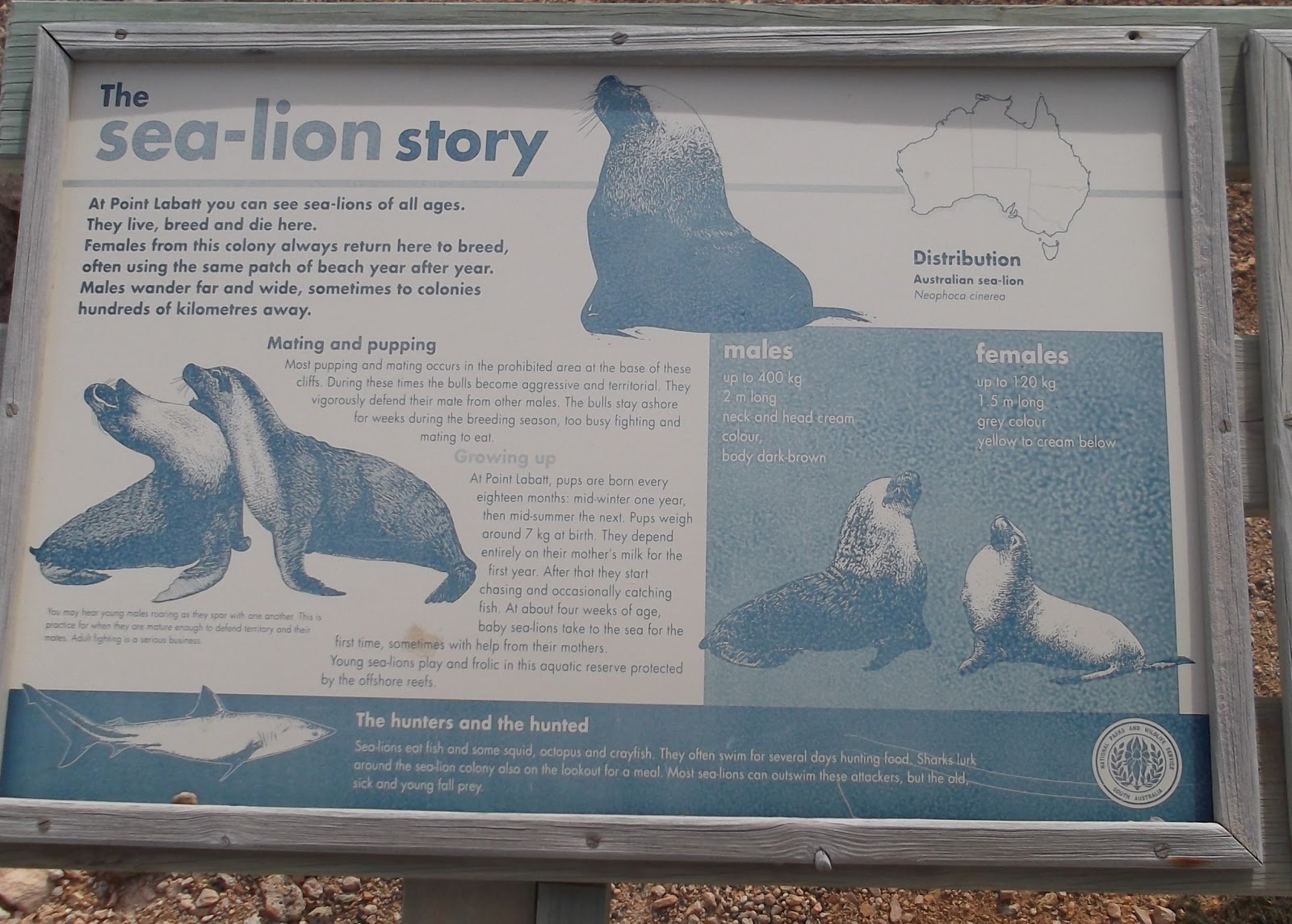 gohavealook: ON OUR WAY TO SHERINGA BEACH, ELISTON AND STREAKY BAY