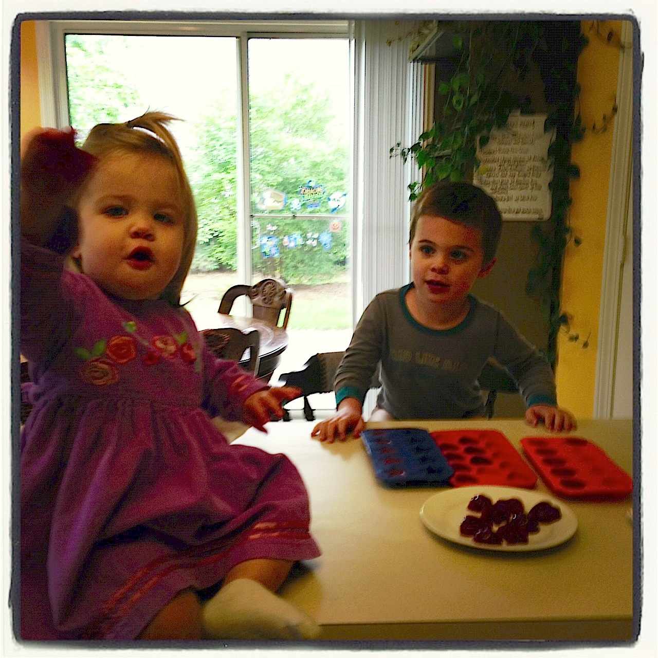 All Hail the Fruit Snack! And It’s OK Being Abbey Normal – Everyday ...