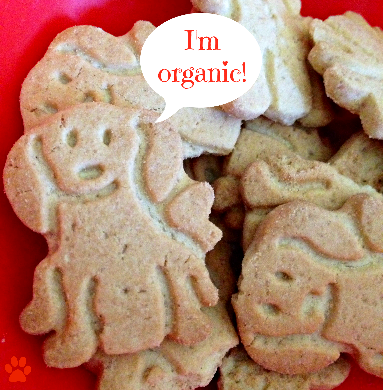 Hiccups and Sunshine: February 2014