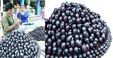 Get Much Information: Fruits - 1