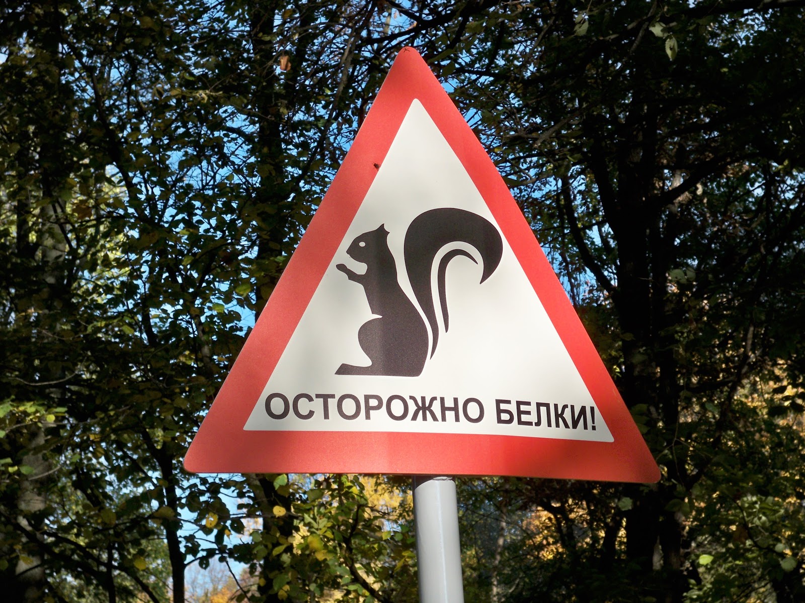 I still don't know how to name things: Russian signs that touch my soul