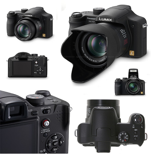 Essential Things About Selecting A Digicam