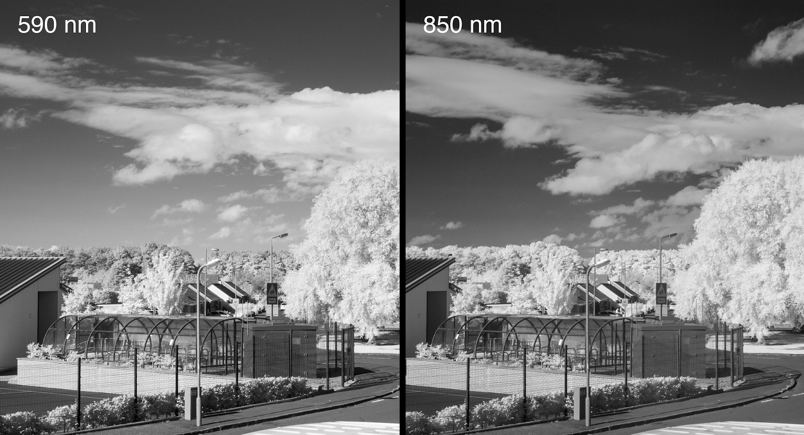 Observing the Natural World: Photography, Video, Binoculars and ...