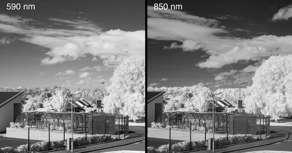 Observing the Natural World: Photography, Video, Binoculars and ...