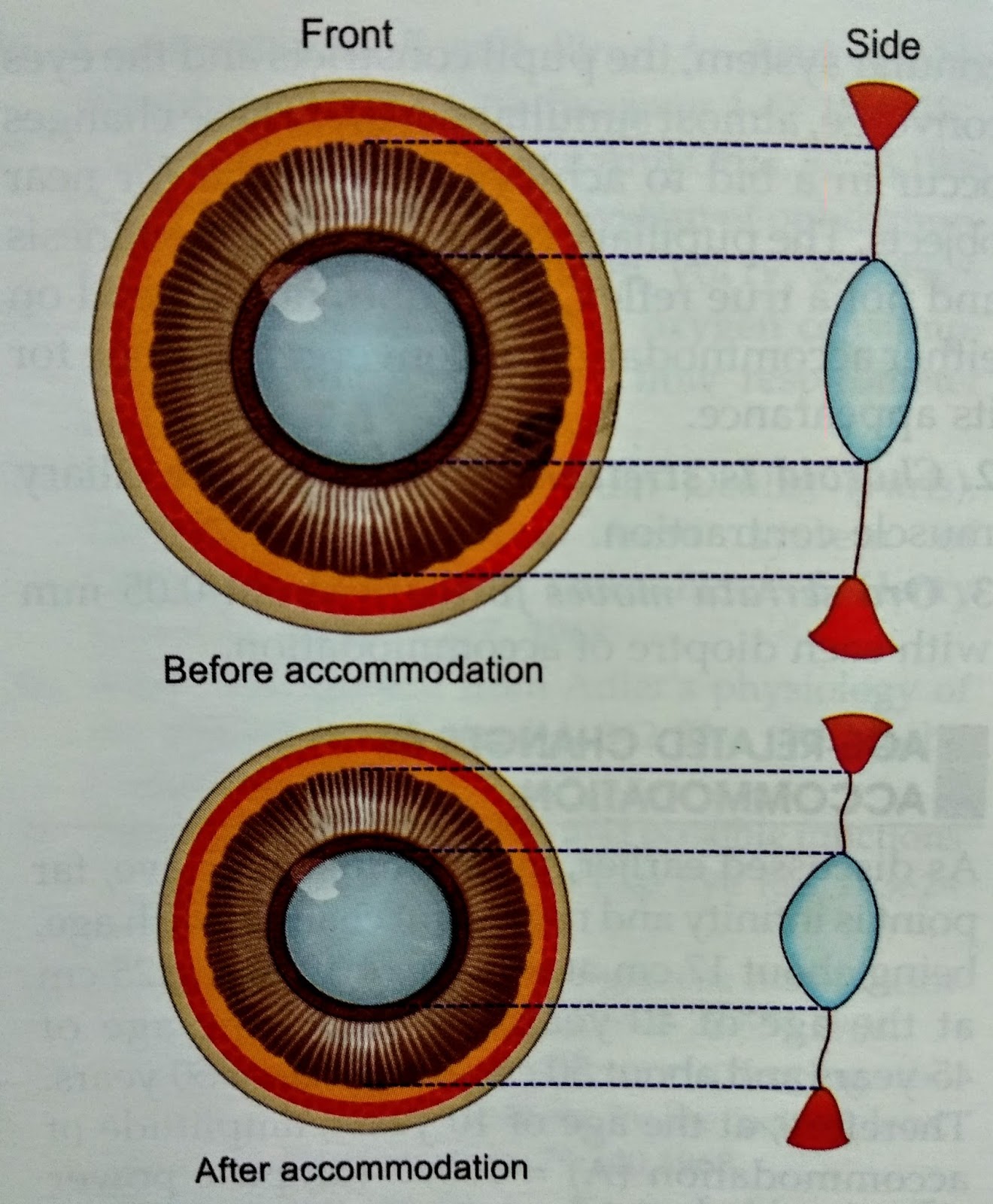 Optometry: February 2018