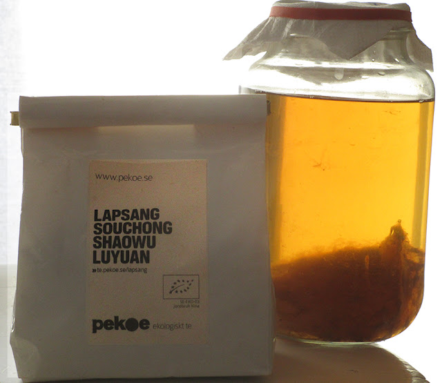 Gör egen kombucha! Scoby svamp till salu, skickas med vanlig post på 1 ...