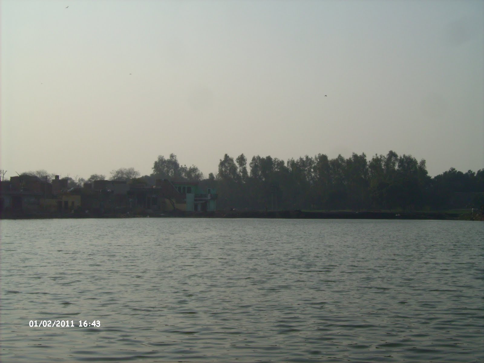 INCHOLI......Village And Post Incholi, Meerut, (U.P)