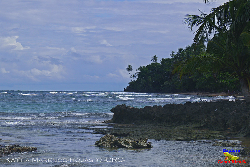 Manzanillo de Limón | Explore Costa Rica