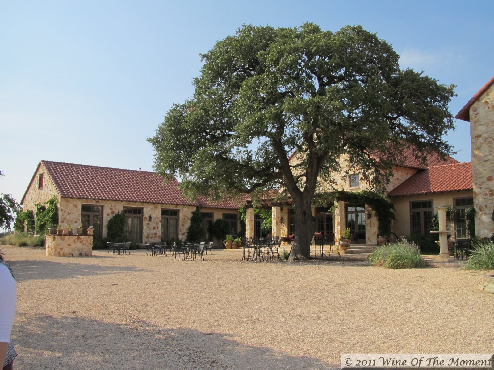 Wine Of The Moment: The Vineyard at Florence – Florence, Texas