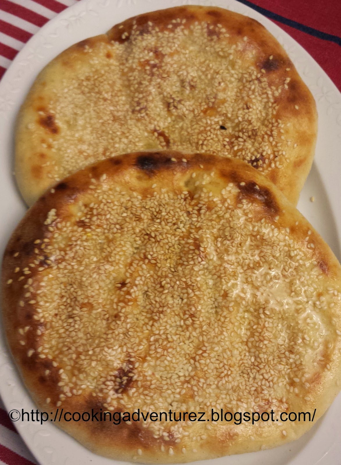 Cooking Adventurez: Roghni Naan