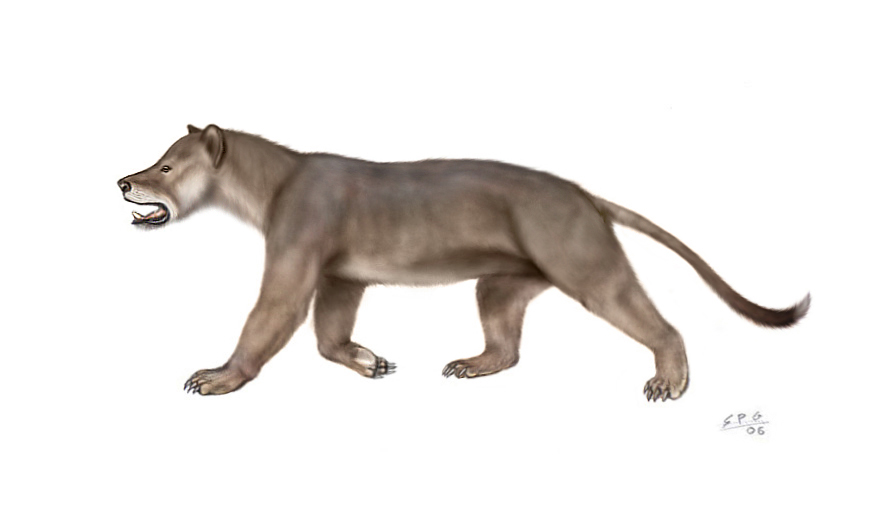 Los animales en la prehistoria: julio 2013