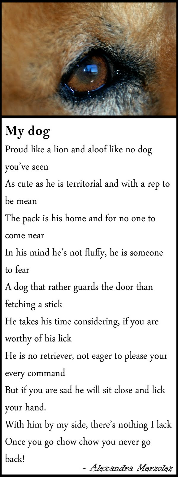 ROMEDICINE: Songshi-quan (the fluffy lion-dog)