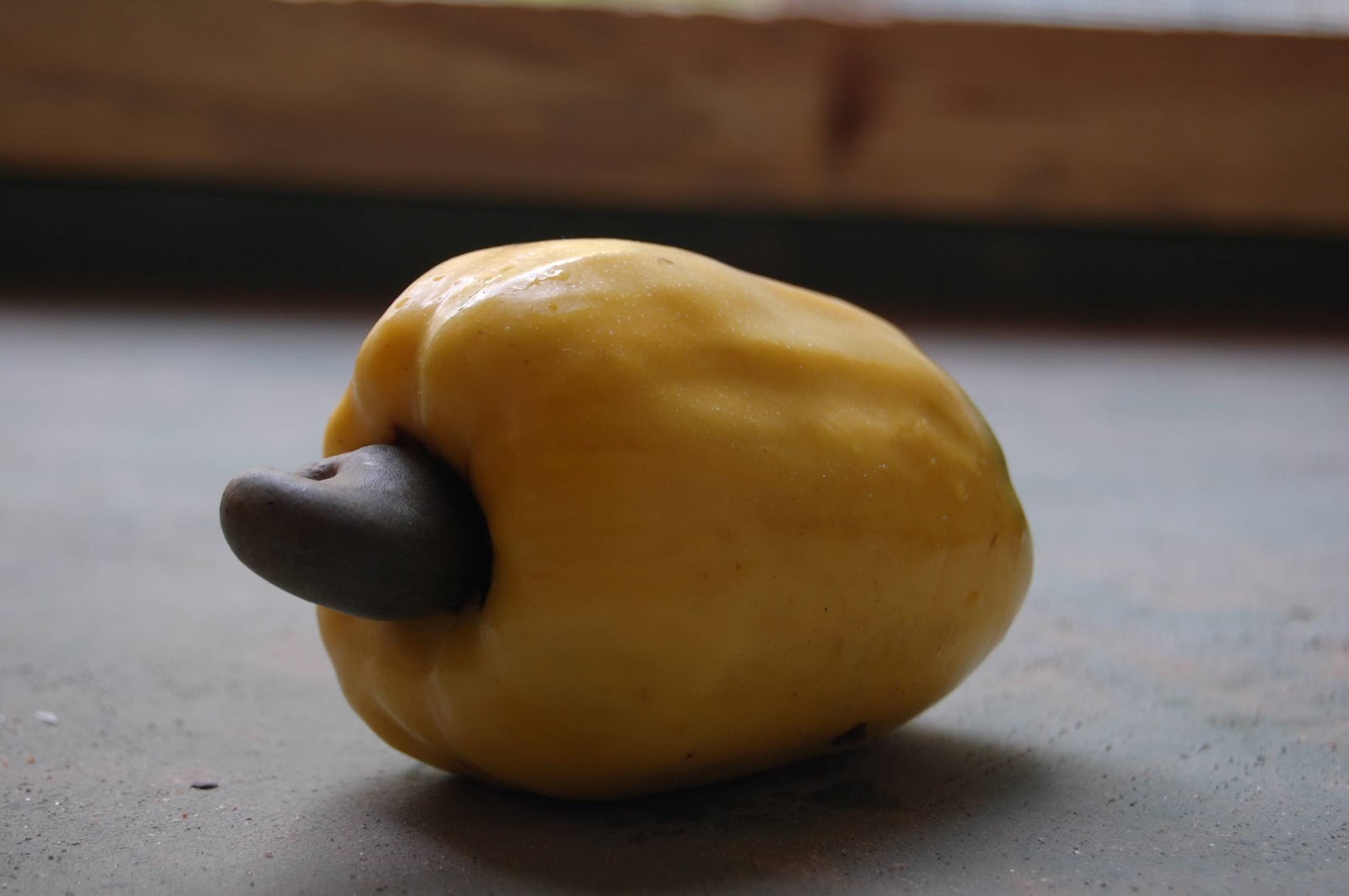 The Gambia Through My Eyes: The “first timer” fruits