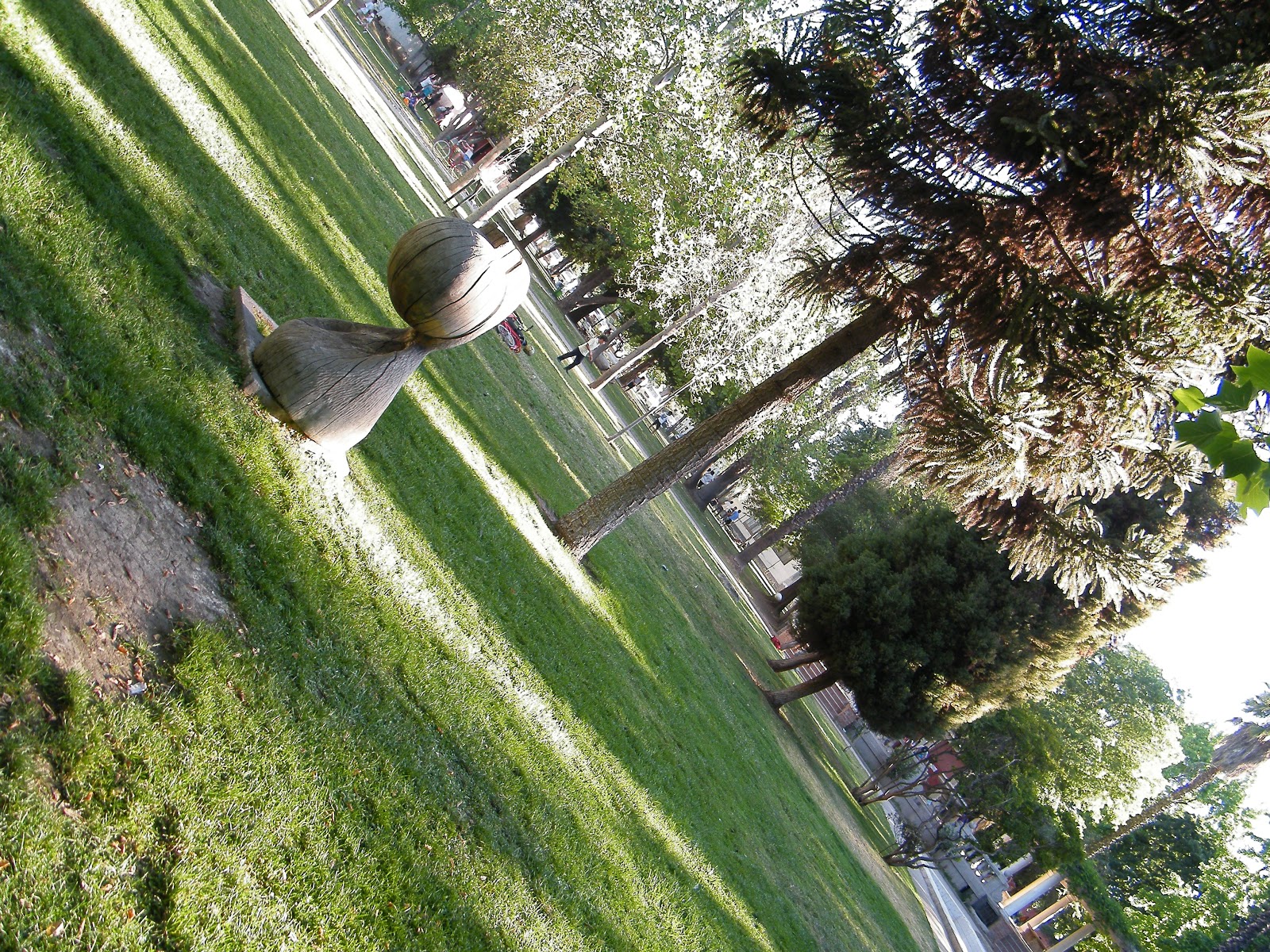 Fotografia: EJERCICIOS EN TERRENO