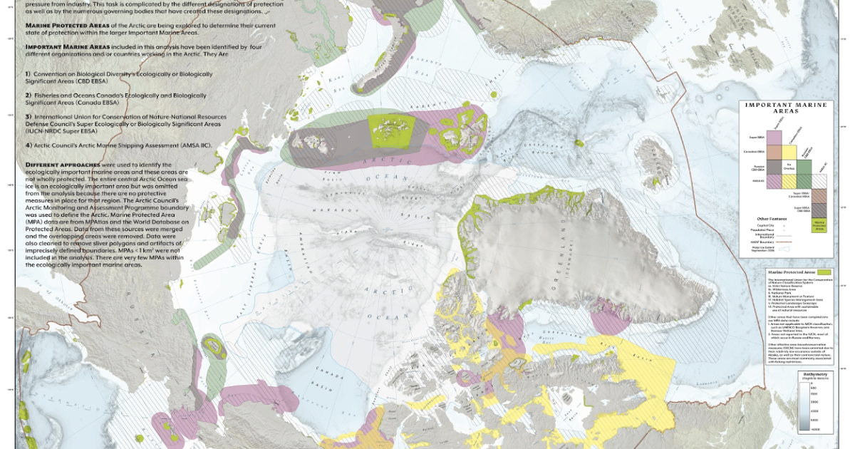 Protecting the Arctic