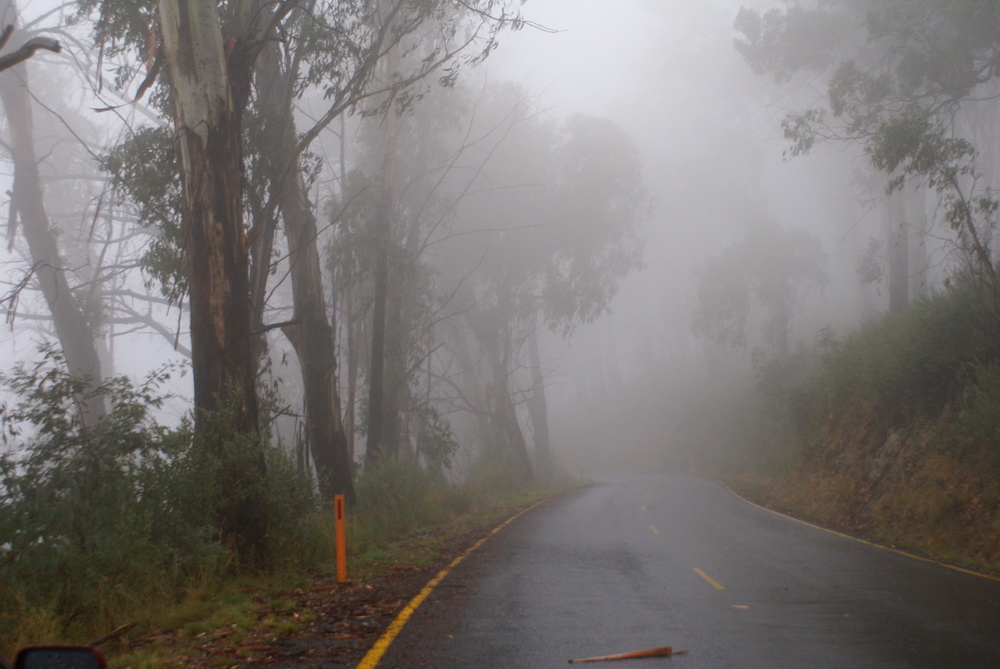 View topic - ♥TGS- {Free High Quality Sigs} - Chicken Smoothie